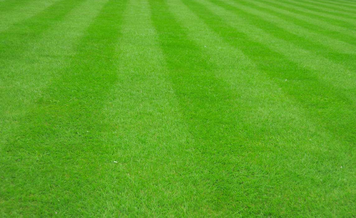 Home – Marco Tolboom